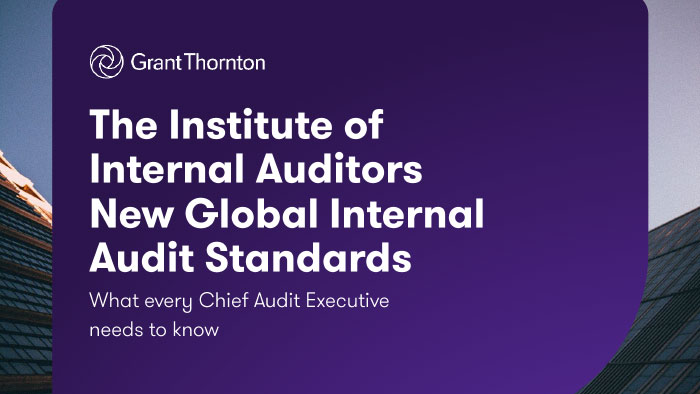 The Institute of Internal Auditors New Global Internal Audit